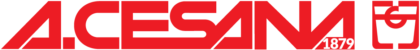 Home - A.Cesana S.r.l. - Foundry Products